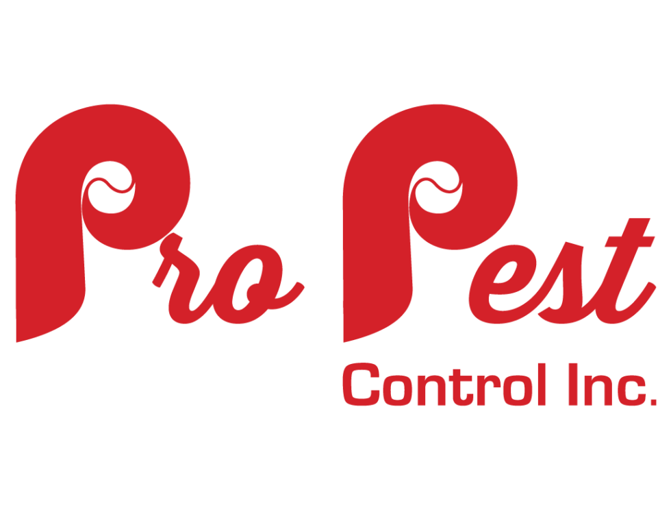 NPC Southern States Championships | BODYBUILDING, FITNESS, FIGURE ...